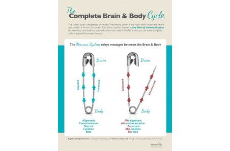 Chiropractic Safety Pin Cycle Poster