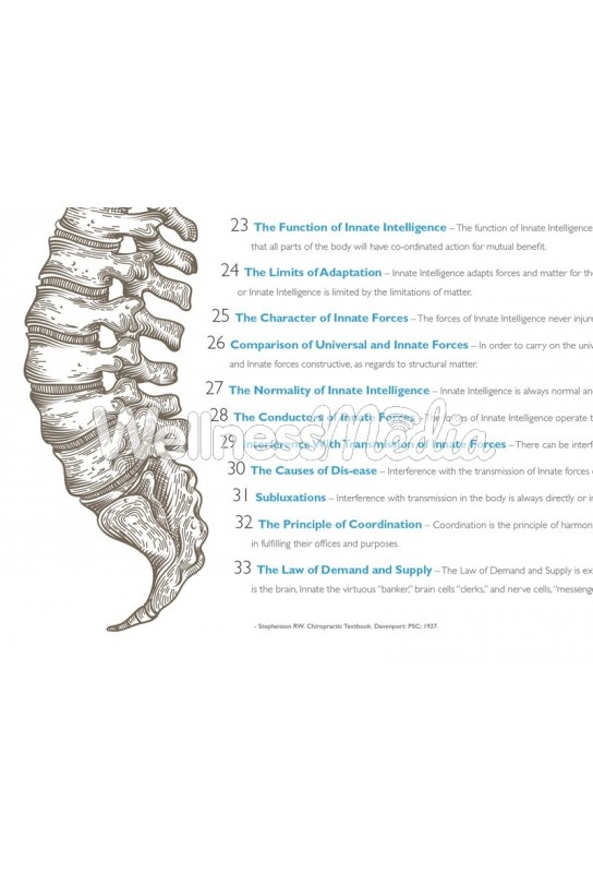 Chiropractic 33 Principles Poster