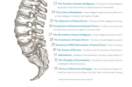 Chiropractic 33 Principles Poster