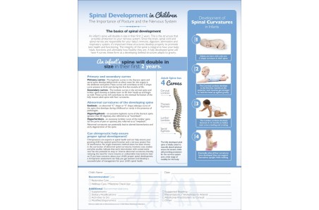 Spinal Development ROF Handout