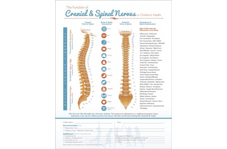 Chiropractic Kids Spinal Nerve ROF Handout