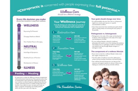 Chiropractic Wellness Care Brochure