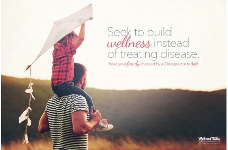 Seek to Build Wellness Poster
