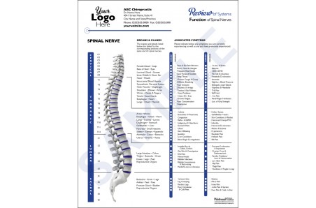 Spinal Nerve Function Intake Forms