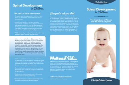 Spinal Development Brochure
