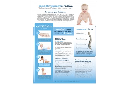 Spinal Development Handout