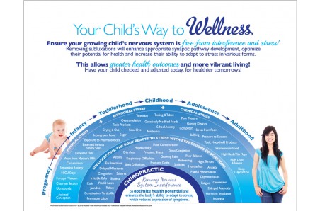 Chiropractic Way to Wellness Handout