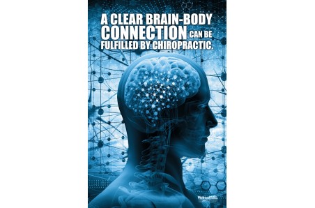 A Clear Brain-Body Connection Poster