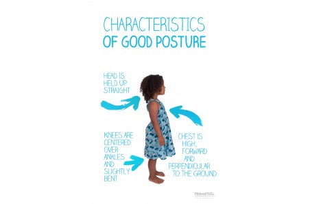 Characteristics of Good Posture Poster