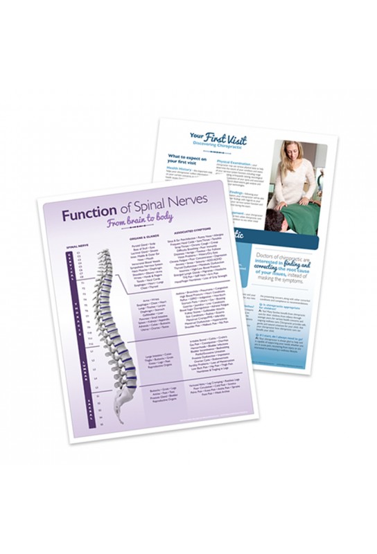 Your First Visit + Function of Spinal Nerves Handout Bundle
