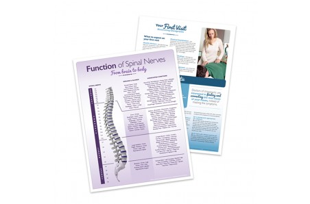 Your First Visit + Function of Spinal Nerves Handout Bundle