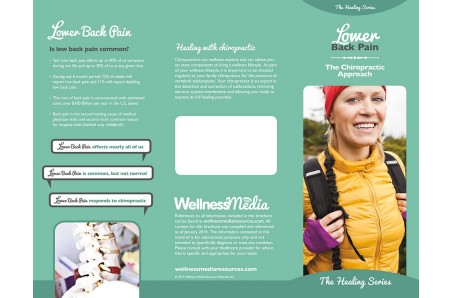 Chiropractic Low Back Pain Brochure