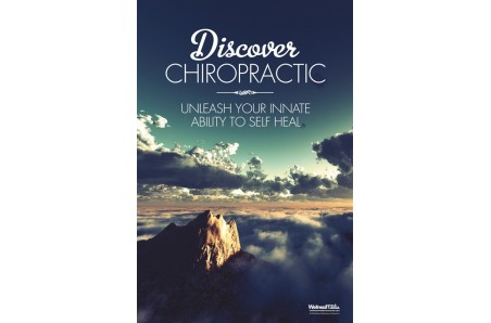Chiropractic Innate Self Healing Poster