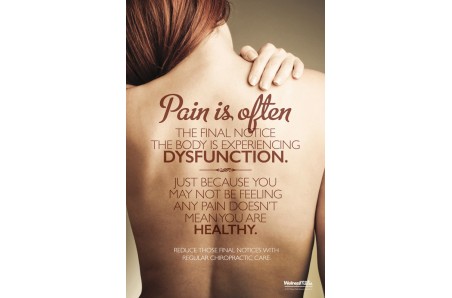 Chiropractic Pain and Dysfunction Poster