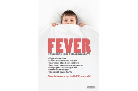 Fevers are Safe Poster